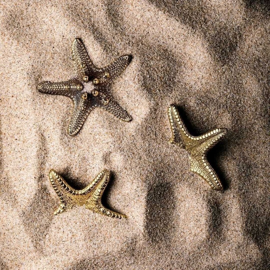 Ocean Collection By PullCast | The Most Expensive Homes