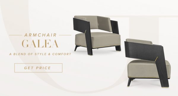 Premium Armchairs To Sit Like A King | The Most Expensive Homes